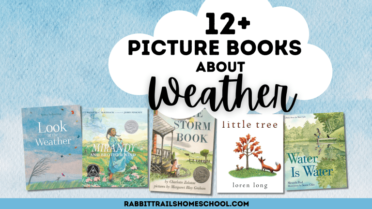 The Ultimate List of Homeschool Reading Resources - Rabbit Trails ...