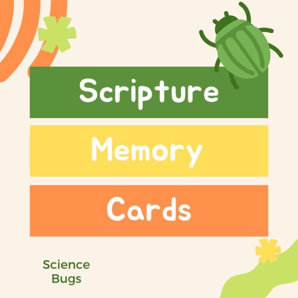 Scripture Memory Cards Science: Bugs - Rabbit Trails Homeschool
